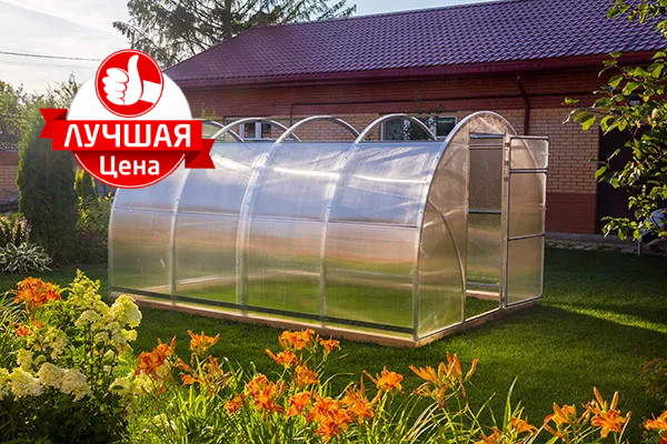 Теплицы с открывающейся и сдвижной крышей - Тюльпан и Кормилица